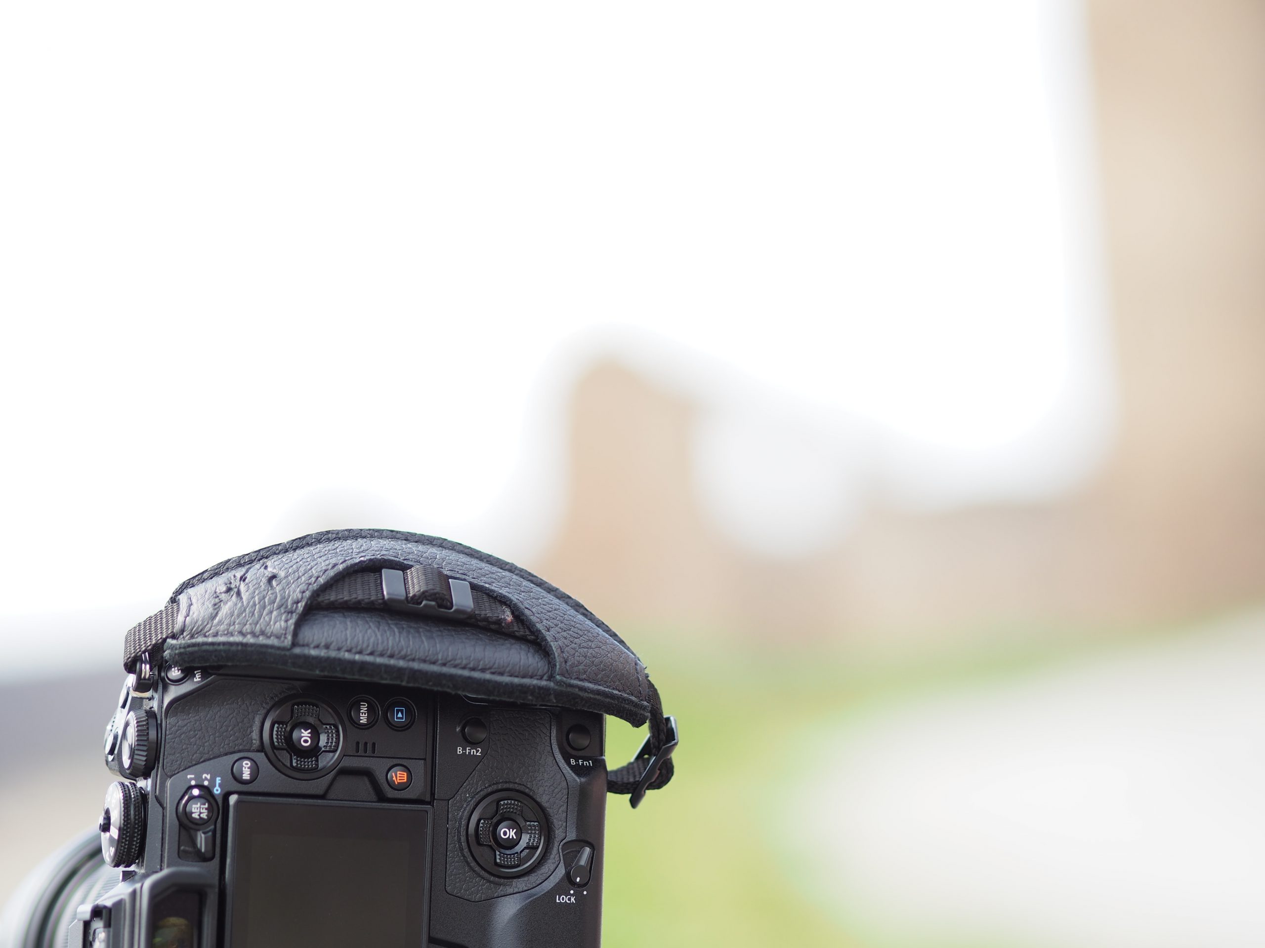 SLiNG-2 M mit Halteplatte / Artikel zur Zeit nicht lieferbar! - EDDYCAM